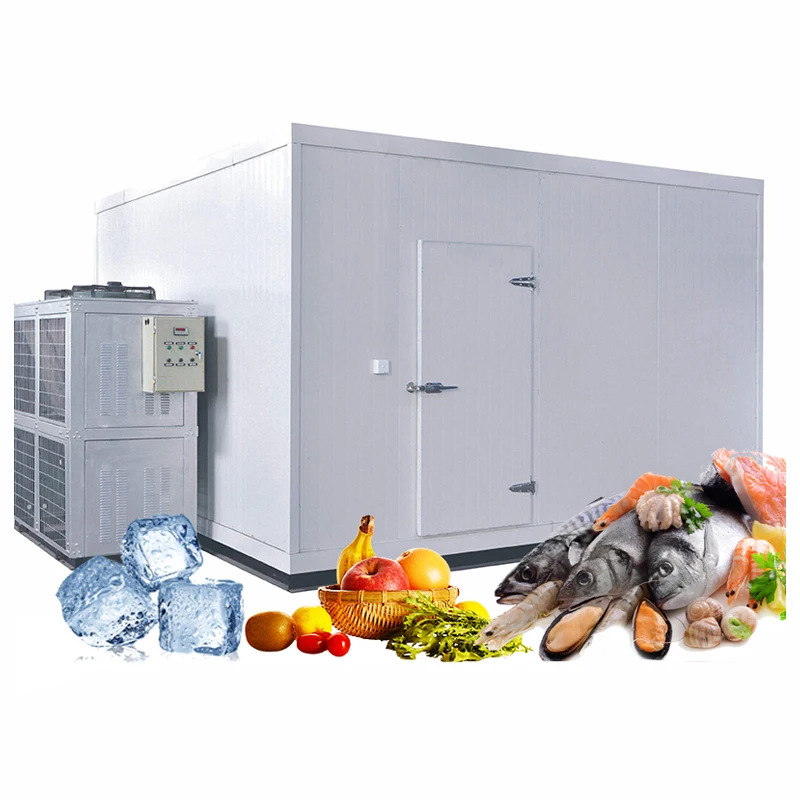 ARTECO: Walk-in Cold Rooms, Cold Storage Room Units, Portable Freezer ...