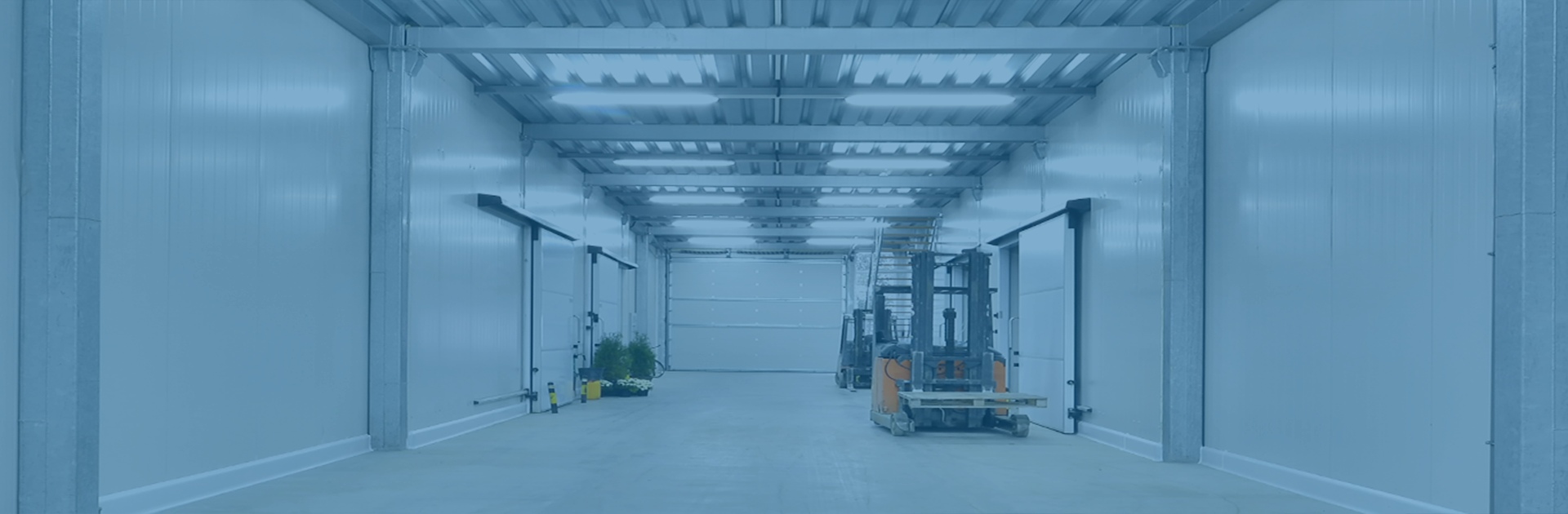 ARTECO: Walk-In Cooler Doors, Commercial Freezer Door, Commercial ...