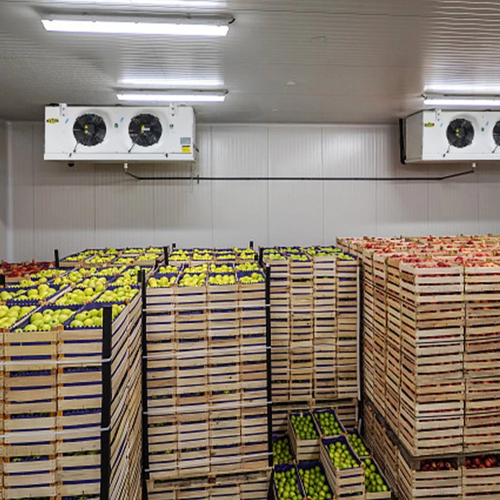 ARTECO Commercial Cold Room for Fruit